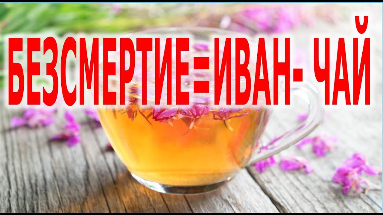 Технологии БеЗсмертия. Иван чай | Виктор Максименков