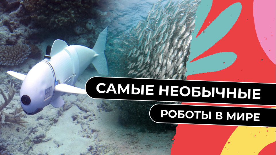 Самые необычные роботы, созданные учёными