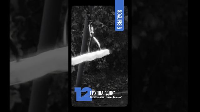 #ТОП100 ГРУППА ДНК- "Алея Ангелов" (Петрозаводск) #shorts