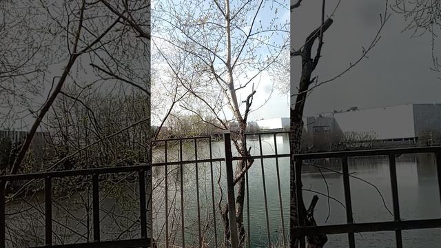 The end of love story Н. Милованова-Сосновская. Авторское исполнение