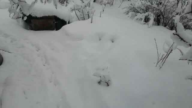 Зимняя весна. Самый конец марта. 2023г.