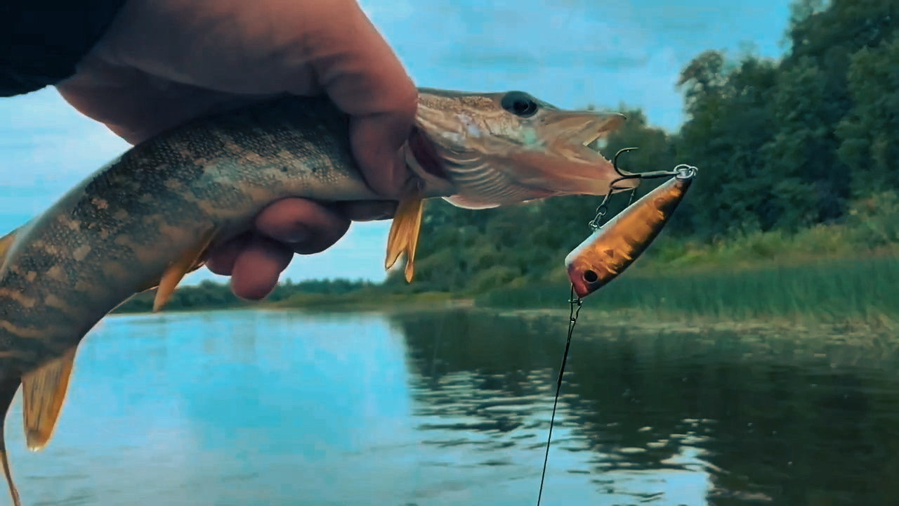 НА ПОППЕР РЫБАЛКА НА ЩУКУ