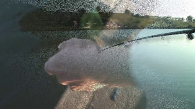 на рыбалку.