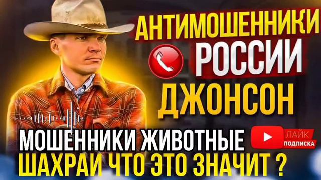 ШАХРАЙЧИК. МОШЕННИКИ ЖИВОТНЫЕ 📵 ДЖОНСОН #мошенники #антимошенник #развод #аферисты