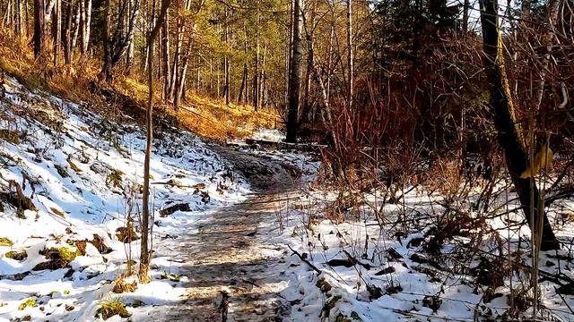 20 октября__День 4