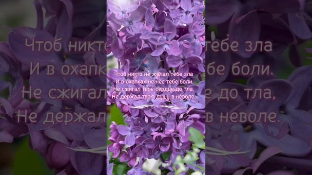 Мне б хотелось тебя уберечь