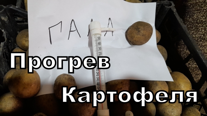 прогрев картофеля