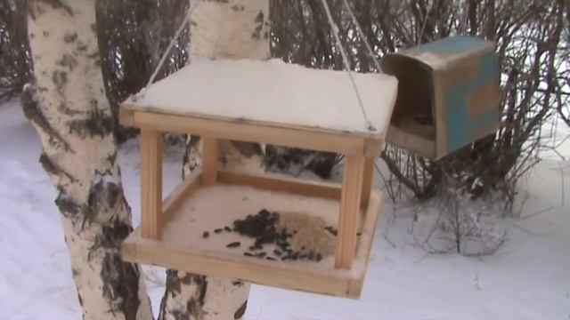 Акция "Кормушка для птиц" (2018)