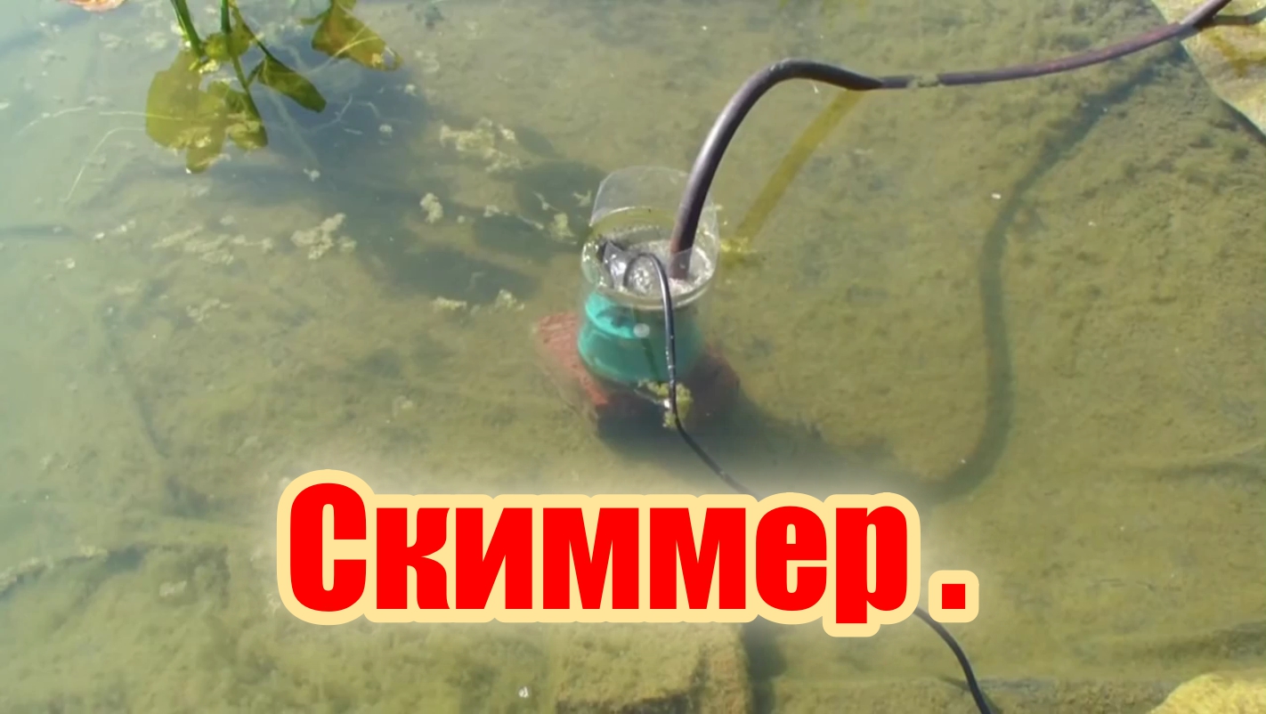 Как сделать скиммер из бутылки.