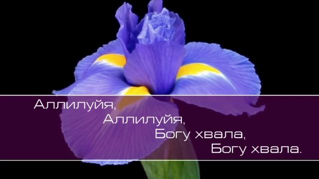 15.Океан Любви. Хвалите Бога небес.mp4