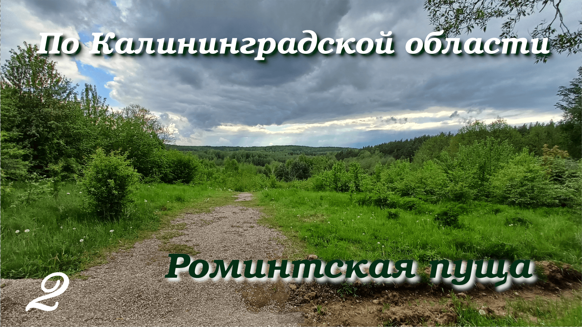 Велопутешествие по Калининградской области. Роминтская пуща