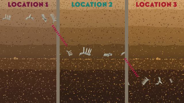 Самые полезные ископаемые (Most Useful Fossils in the World)