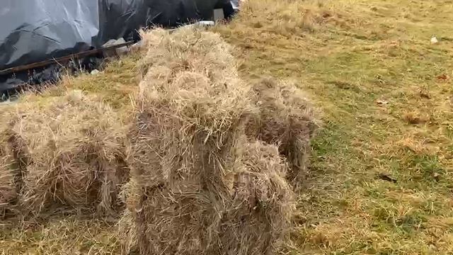 Наша техника в работе! Какое качество можно получить за малые деньги? #дешёваясельхозтехника