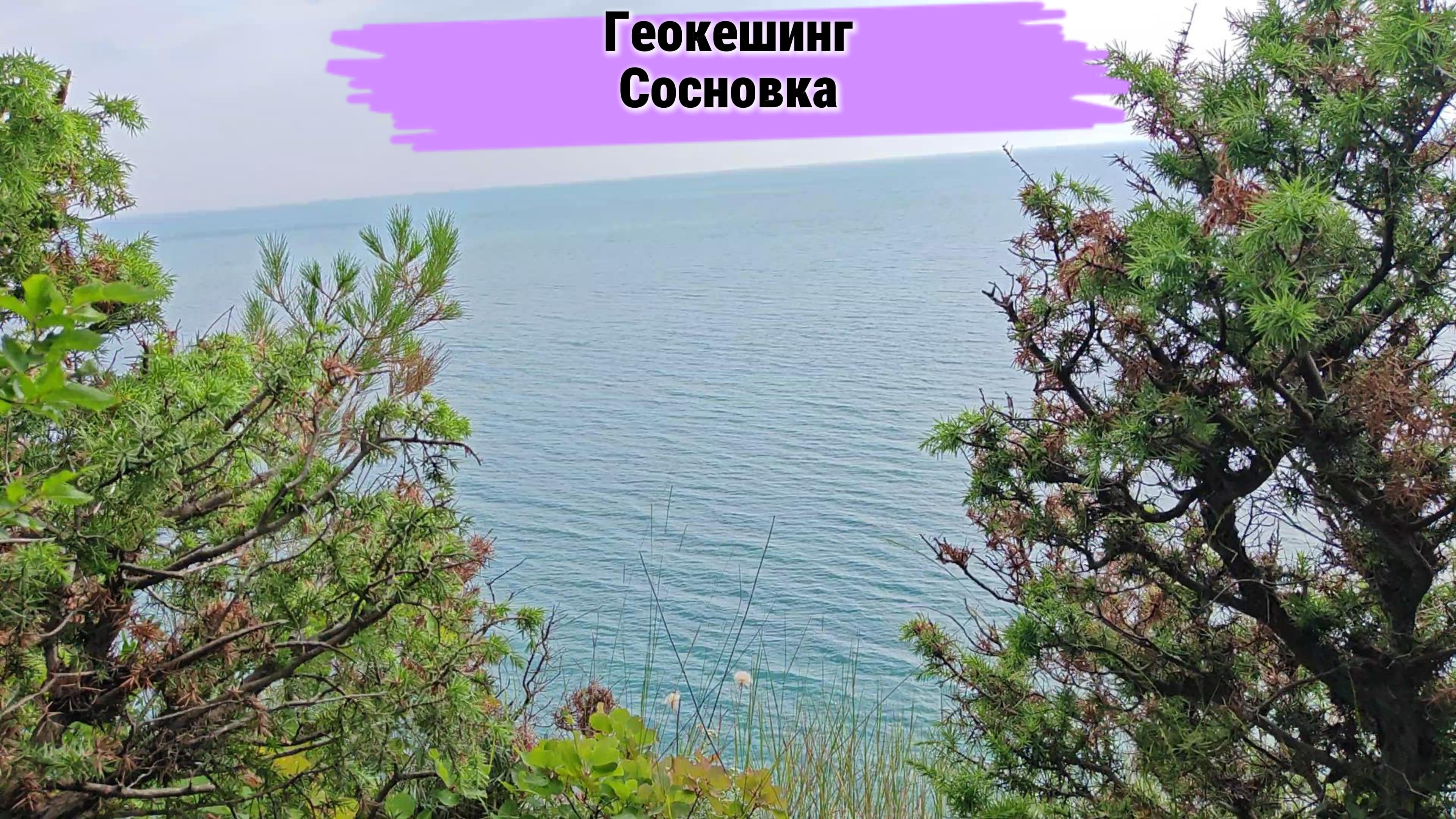 Сосновка поиск тайников геокешинг