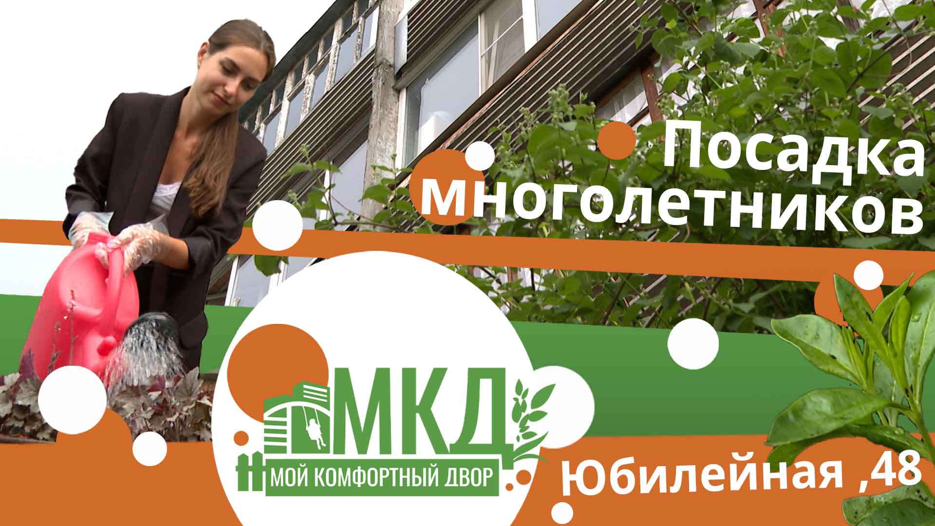 Мой комфортный двор. Посадка многолетников