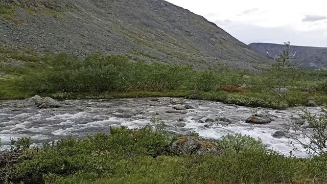 день 4 ч.2 Хибины июнь 2024