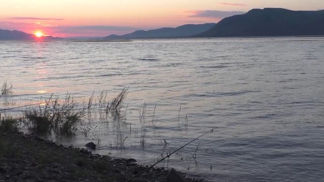 Хроники рыбалки. Лето 2024 ч-12