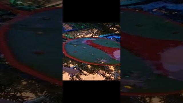 Колпино зима 2021-2022