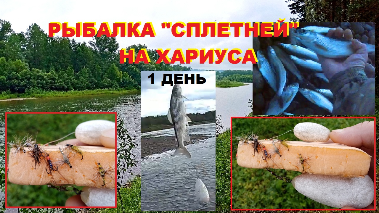 Рыбалка "сплетней" на хариуса, 1 день.