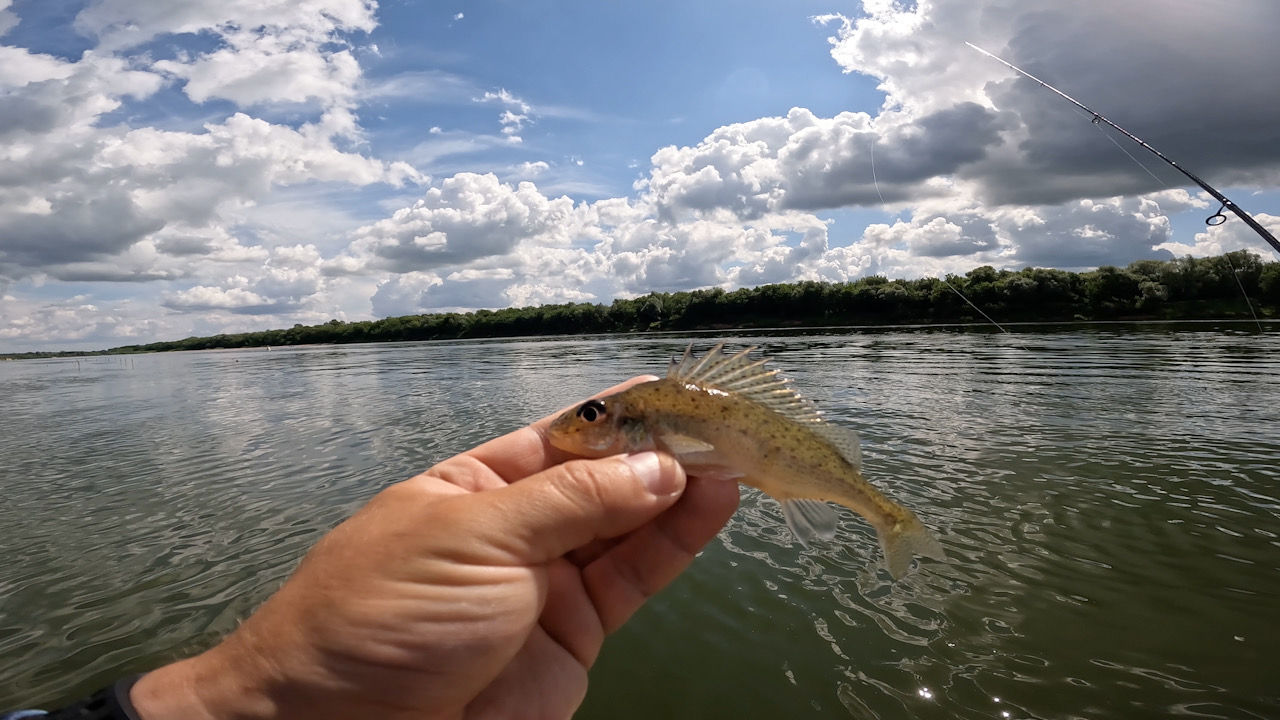 Рыбалка на Оке. Ловля на Спиннинг. Ультралайт. Летний Июль.