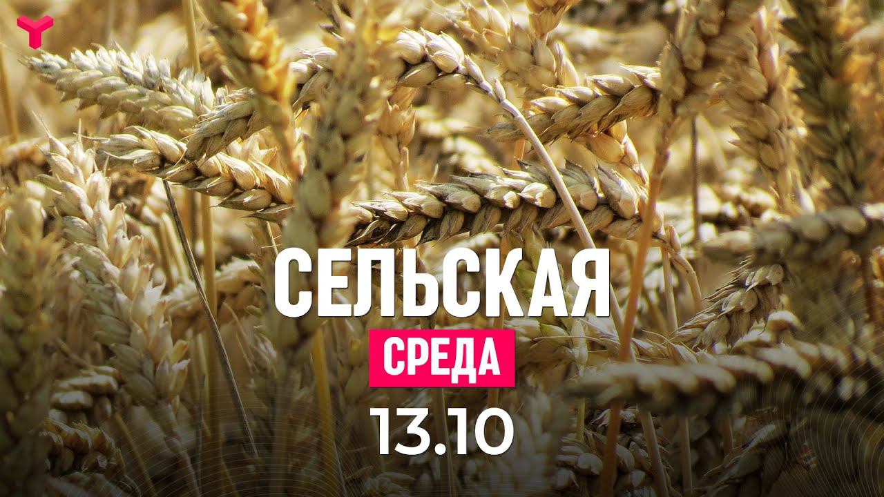 Сельская среда 13.10.2021