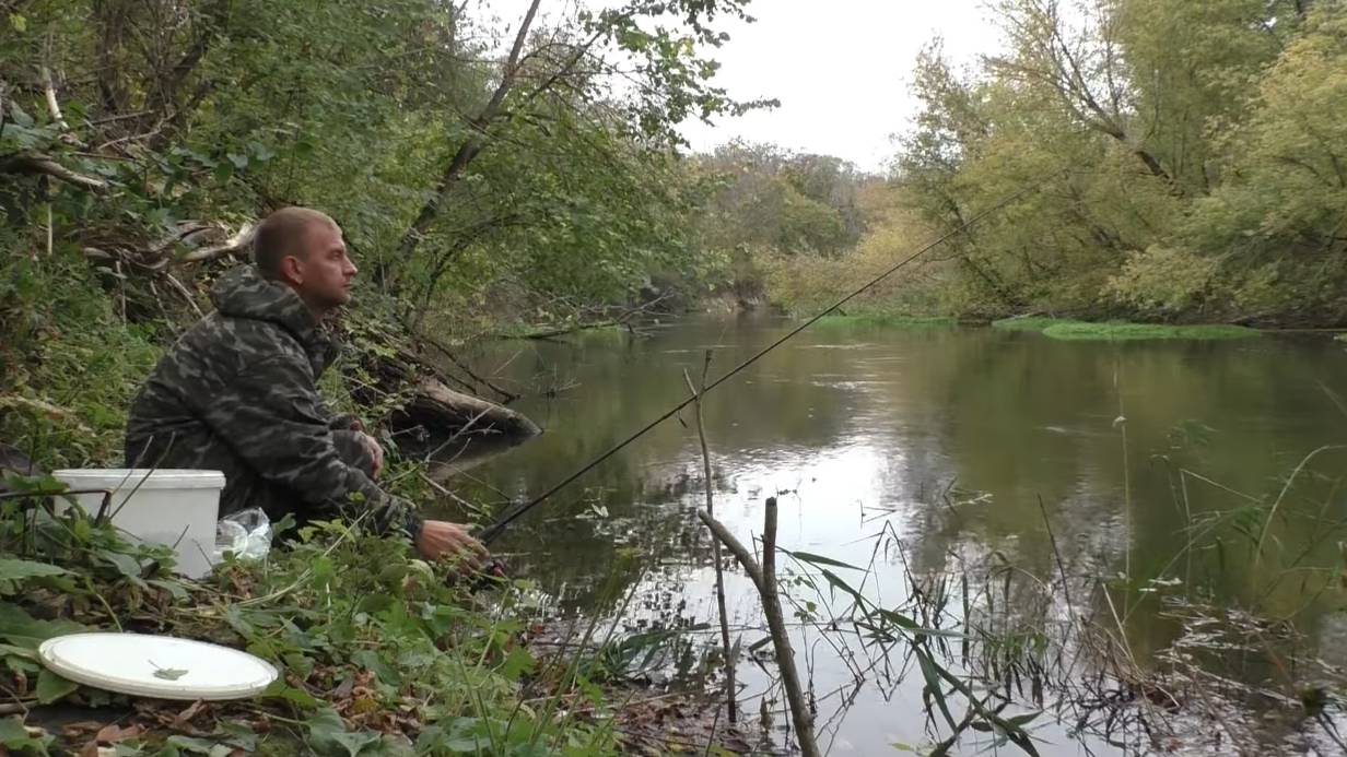 ЛОВЛЯ КРУПНОГО КАРПА И КАРАСЯ НА ОЗЕРЕ. РЫБАЛКА В СЕНТЯБРЕ.