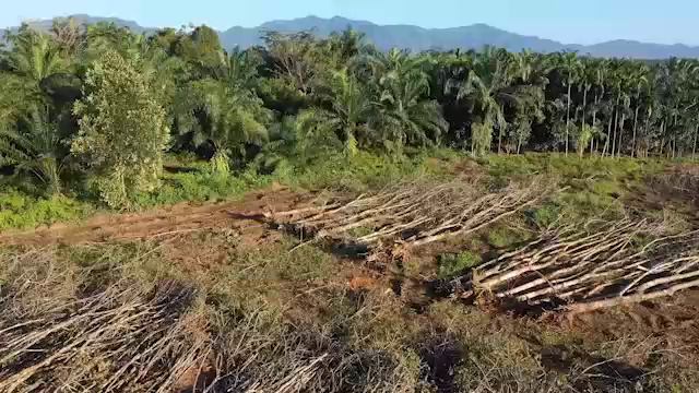 beehive6-culture-video-unit-9