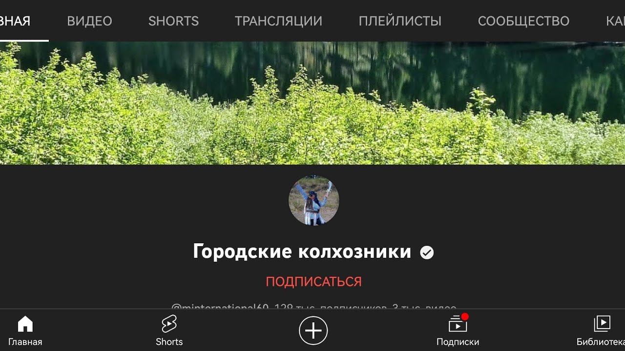 Шерстим YouTube или что от него осталось. - городские колхозники