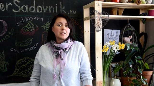 Как бороться с сосновым пилильщиком на участке?