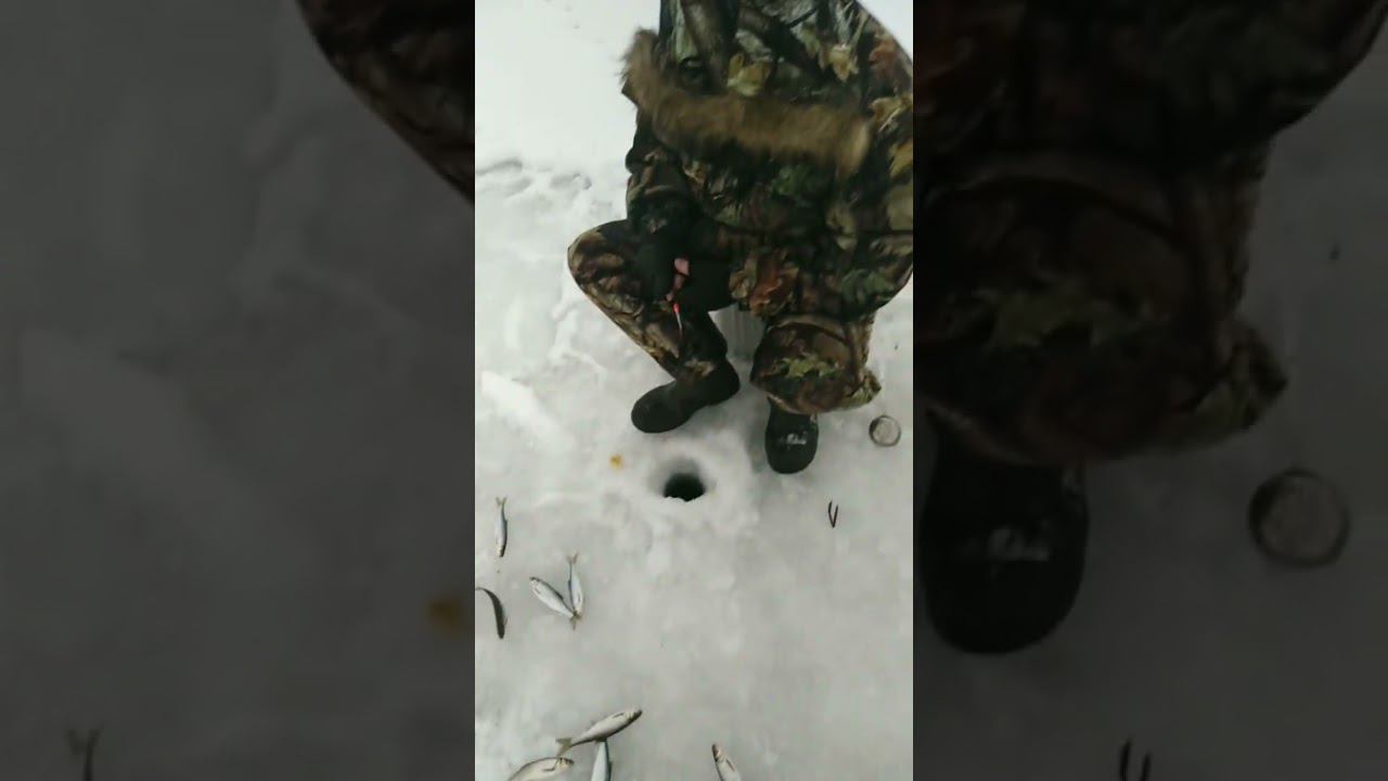 1 декабря 2023 г.