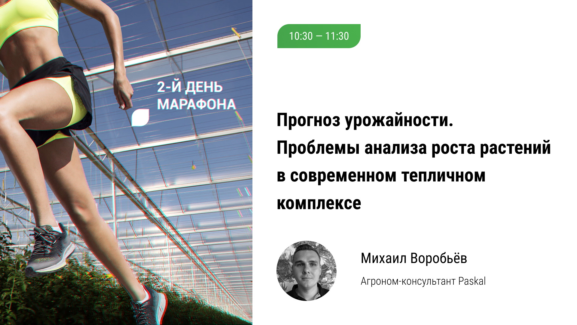 ? Прогноз урожайности. Проблемы анализа роста растений в современном тепличном комплексе