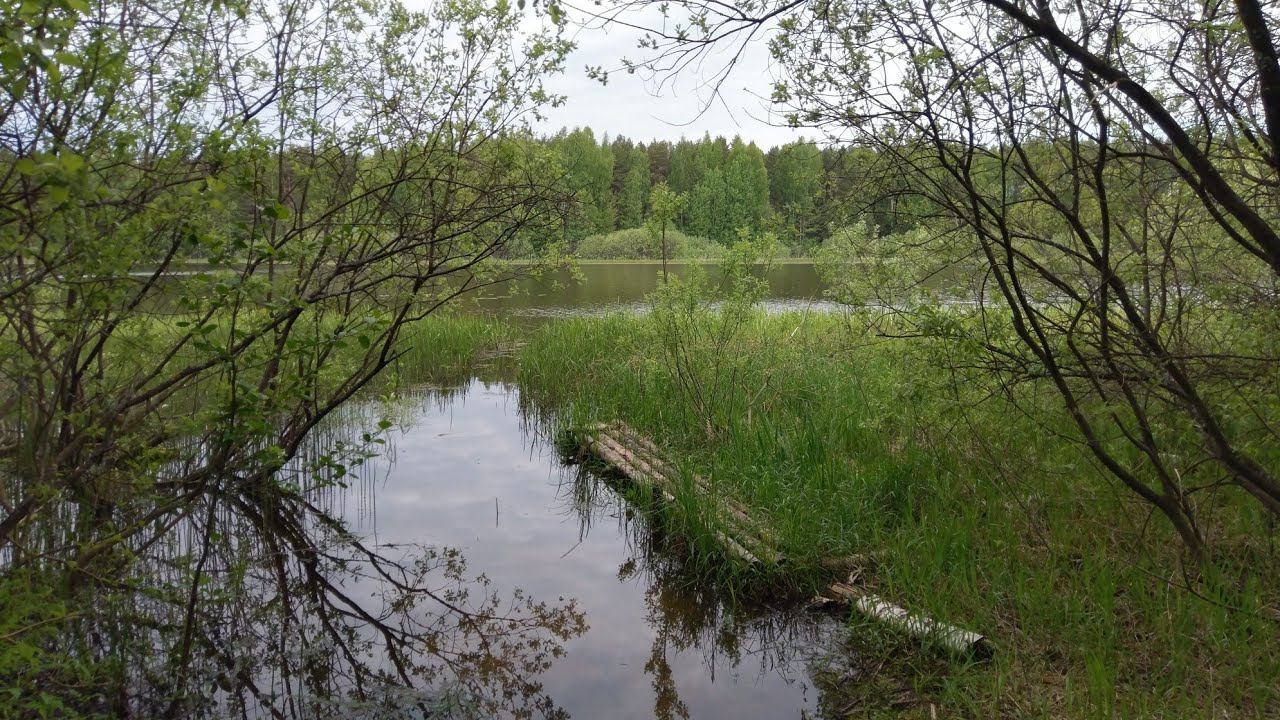 Особенности рыбалки в период самоизоляции. Часть 1.