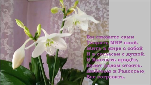 Стихи о жизни Судьбы колесо Татьяна Логиновская