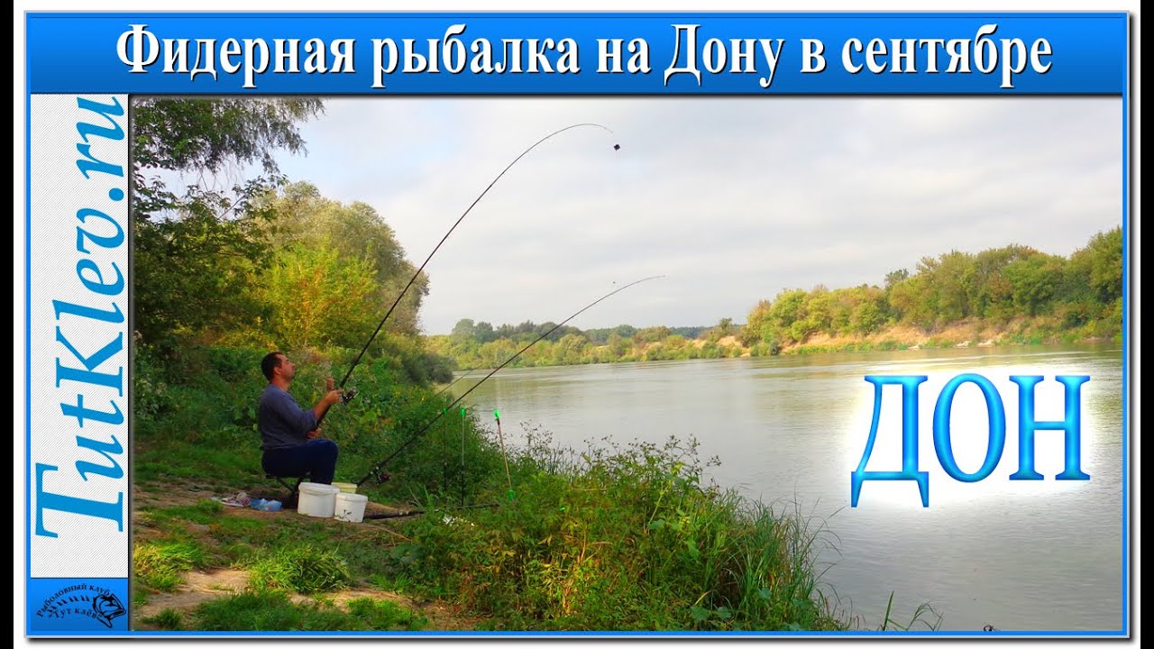 Рыбалка на Дону в сентябре. Ловим чехонь на фидер.mp4