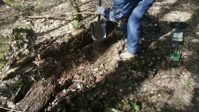 Открытие сезона, копаем металл - монет нет.