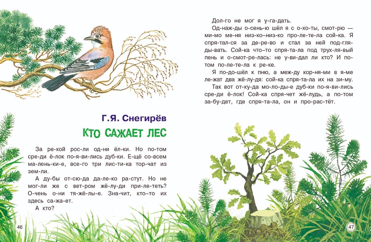 🫠рассказ "Кто сажает лес"