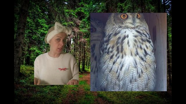 Музыкально-ритмическая логопедическая игра Сова.mp4