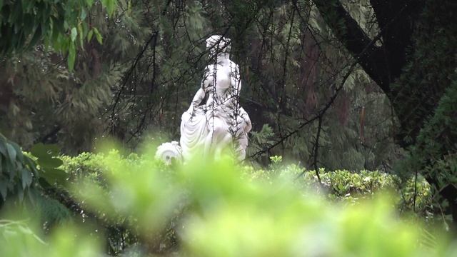 Территория санатория Южное Взморье 3 сентября 2023 года