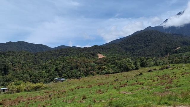 Кота-Кинабалу - молочная ферма