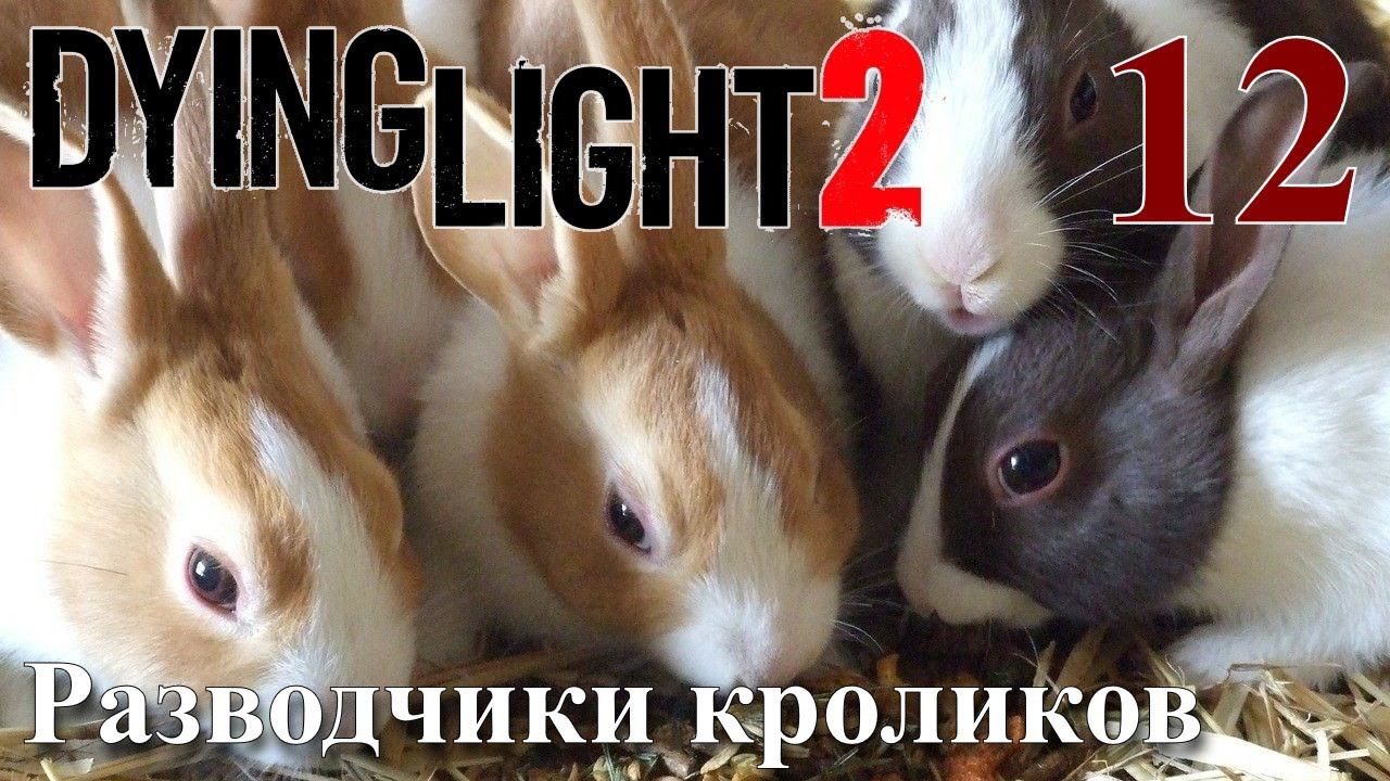 Dying Light 2 Stay Human ПРОХОЖДЕНИЕ НА РУССКОМ #12 Разводчики кроликов