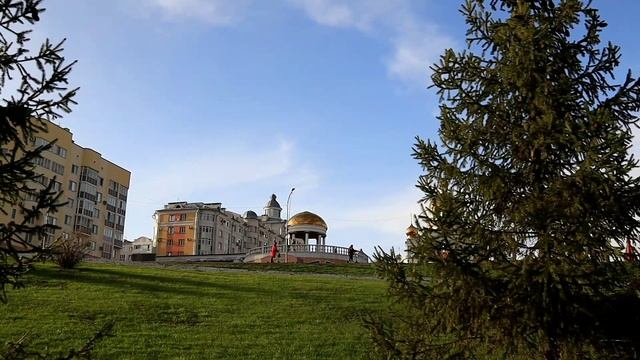 Одинокая утка в Саранске.