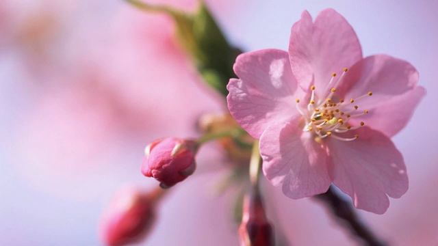 Jacques Loussier Satie Gymnopedie No 1 Var1_1080p