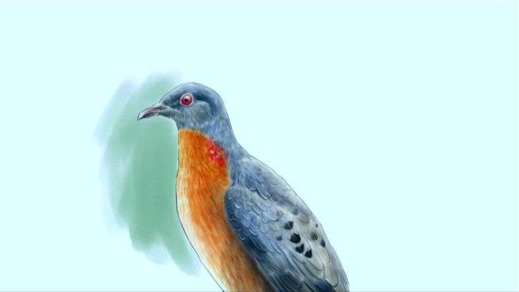 110 лет со смерти Марты