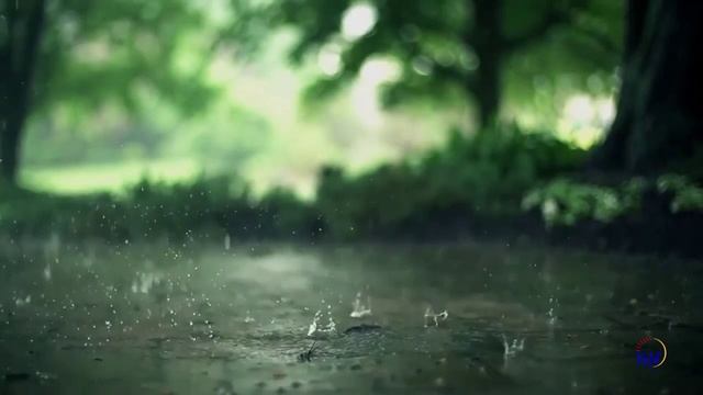 "Так умирает мир"-ХАРА