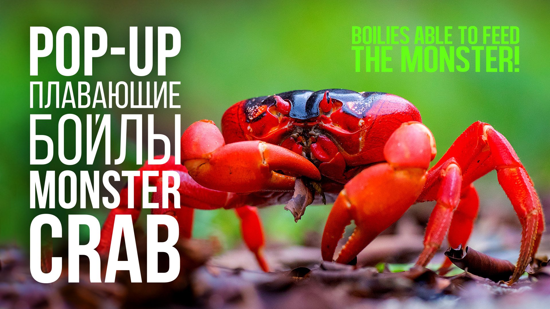 Плавающие насадочные Pop-Up бойлы / FFEM Baits - Monster Crab