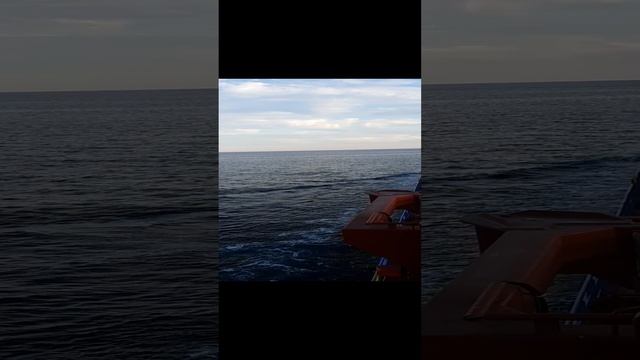 ДЕЛЬФИНЫ В ИРЛАНДСКОМ МОРЕ