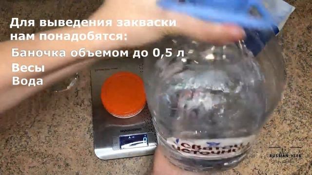 Рисовая закваска без глютена Ингридиенты