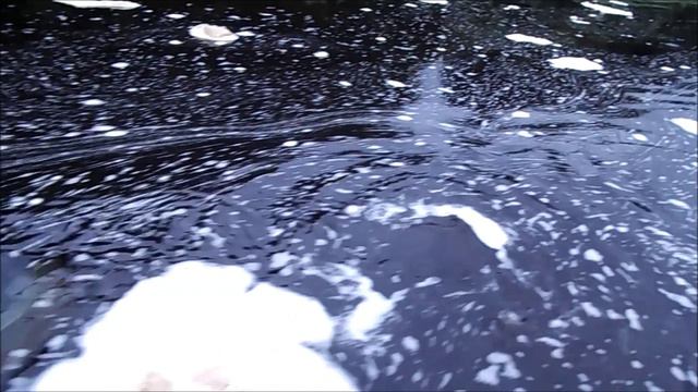 Сплав 2019. Пинега. Пена