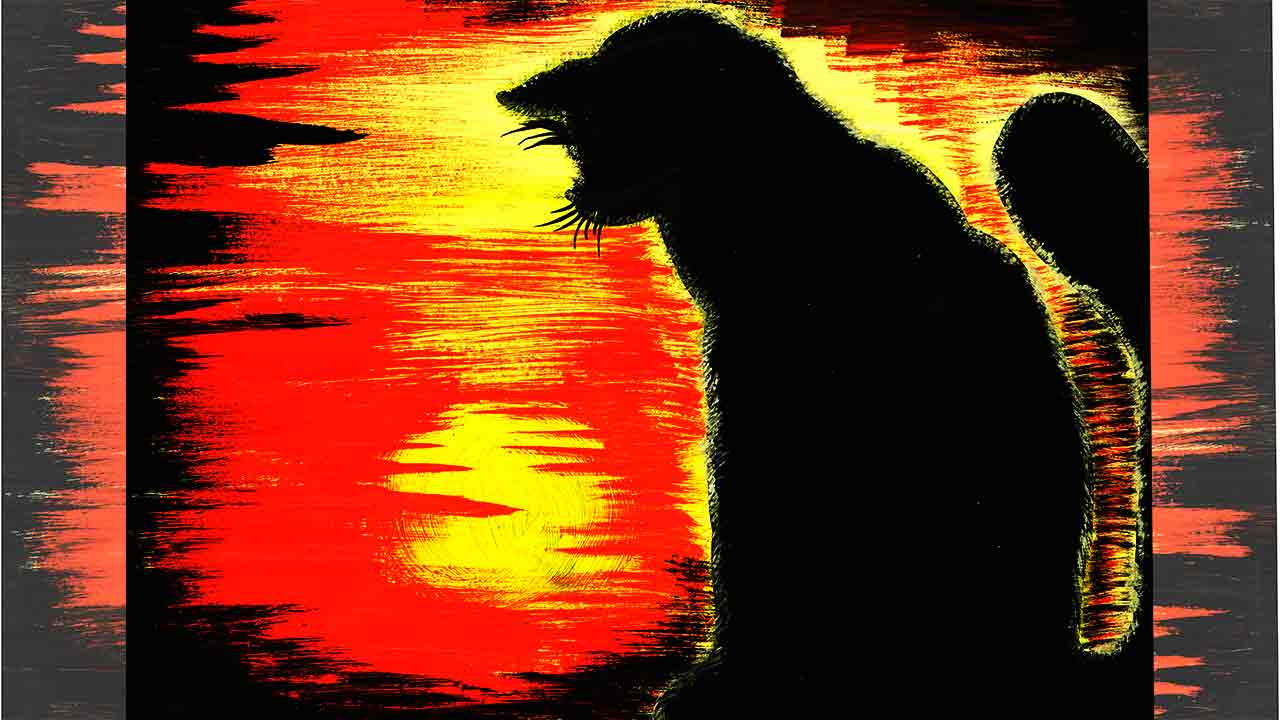 Как нарисовать кота в лунном свете. Как нарисовать кота под луной. Как нарисовать кота легко.