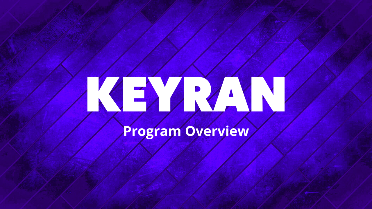 How to install macros on any mouse | Keyran Program Overview